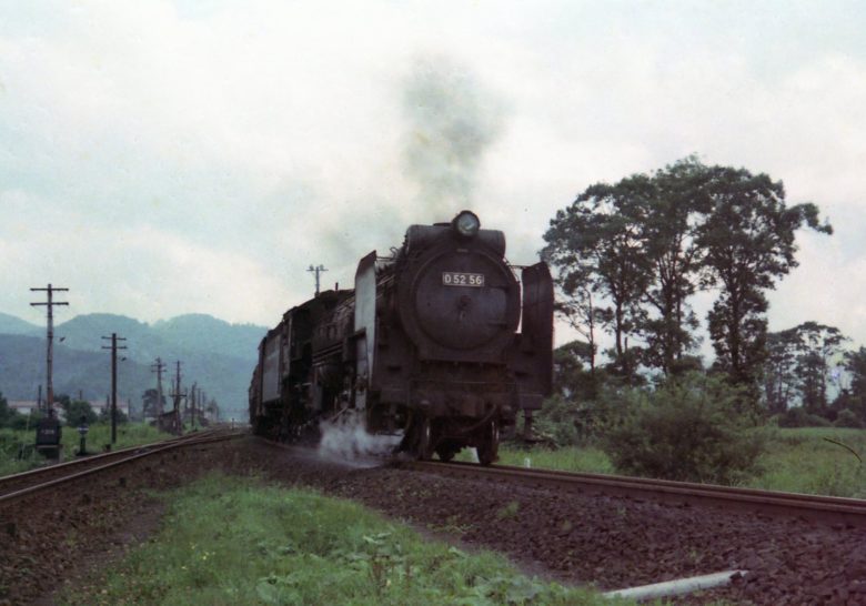 あれから50年その3 大沼 | アートプロ